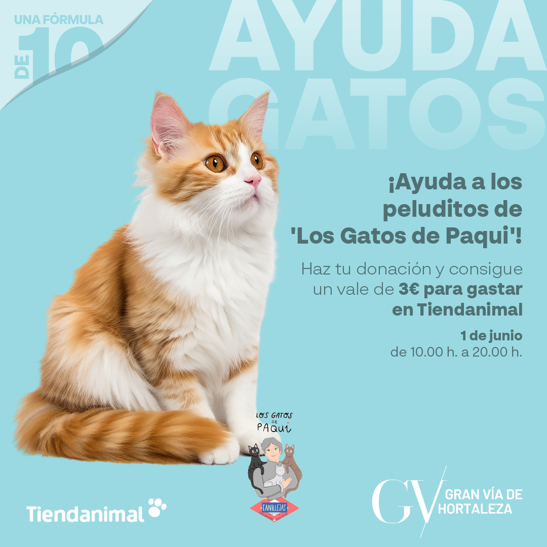 ¡Colabora con ‘Los Gatos de Paqui’ y gana un vale para gastar en ...